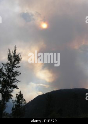 The Rockin Fire in Bitterroot National Forest, Montana, burned in the ...