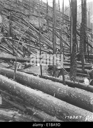 The 1910 fires were some of the largest wildfires in U.S. history ...