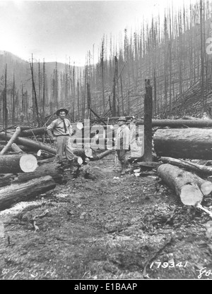 The aftermath of the 1910 fires, one of the largest wildfires in U.S ...