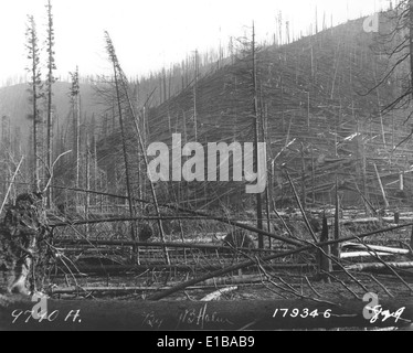 The 1910 fires, one of the largest wildfires in U.S. history, left ...