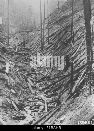 The aftermath of the 1910 fires, one of the largest wildfires in U.S ...