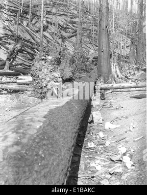 The 1910 Fires, one of the largest and most devastating wildfires in U ...