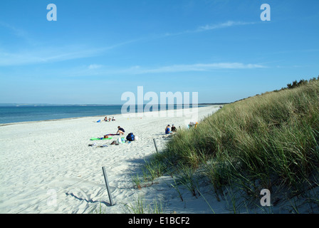 A lonely beach on the coast of Rügen with trees and a blue sky with ...