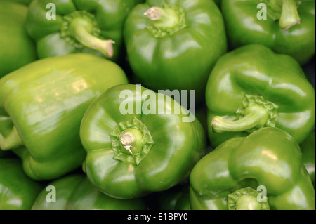 Green sweet bell pepper vegetables heap Stock Photo - Alamy