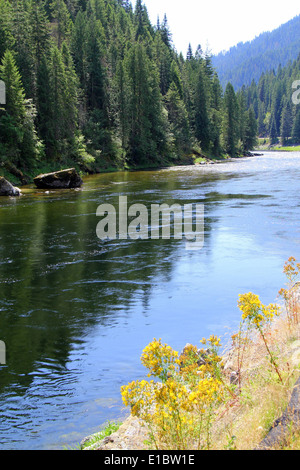 Lochsa Wild & Scenic River, Clearwater National Forest, Northwest ...