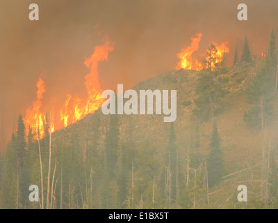The 41 Complex Fires, which occurred in 2011 in Bitterroot National ...