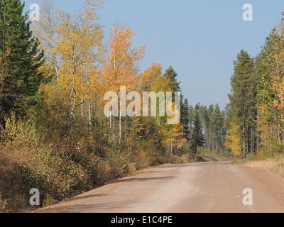 Glacier View Ranger District, Flathead NF Stock Photo - Alamy