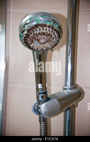 lime scale on shower head Stock Photo - Alamy