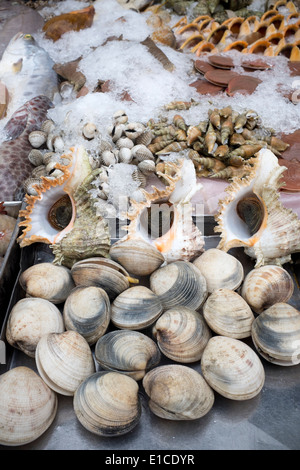 Shellfish Display at Dinh Cau Night Market in Duong Dong on Phu Quoc ...