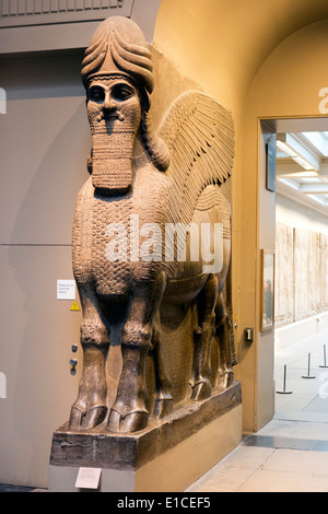 stone carved human-headed winged bull, Assyrian Palace, Nimrud, Iraq ...