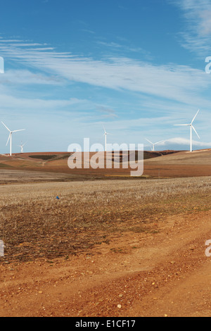 Wind farm in Caledon, South Africa Stock Photo - Alamy