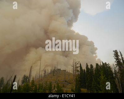 The 41 Complex Fires in Bitterroot National Forest, Montana, affected ...