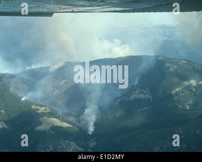An area affected by the fire, on July 9, 2025, in Xerta, Tarragona ...