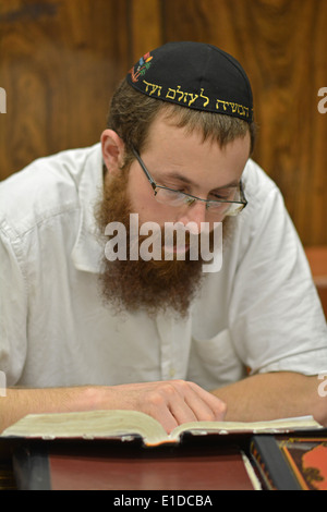 A young religious Jewish man studying Talmud as he sits at the ...