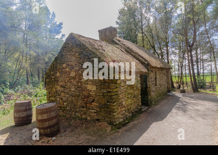 Traditional Irish stone cottage with a thatched roof in County Cork ...