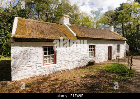 A traditional Irish rural farm building with thatched roof and ...
