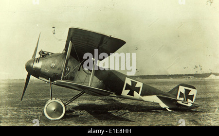 The LFG Roland D.II was a German fighter aircraft from World War I ...