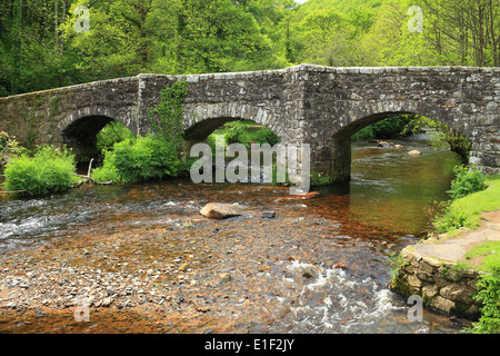 Fingle Bridge, Dartmoor, Devon, England, showing the arches and the ...