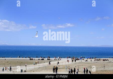 Damxung County, China's Tibet Autonomous Region. 3rd June, 2014 ...