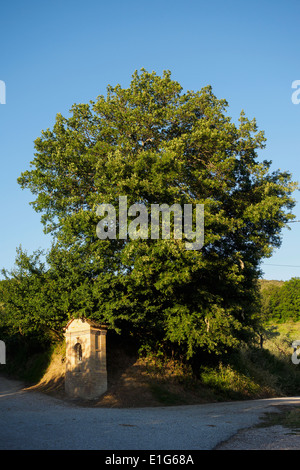 sacred shrine under an oak tree in Umbria, Italy Stock Photo - Alamy