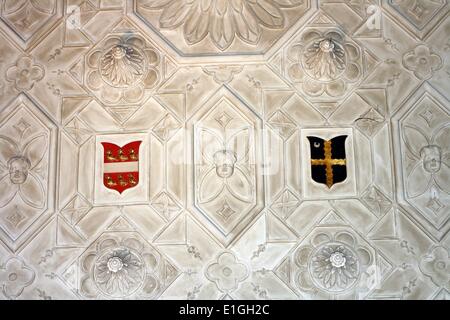 17th century plaster ceiling showing decorative embellishments, Warwick ...