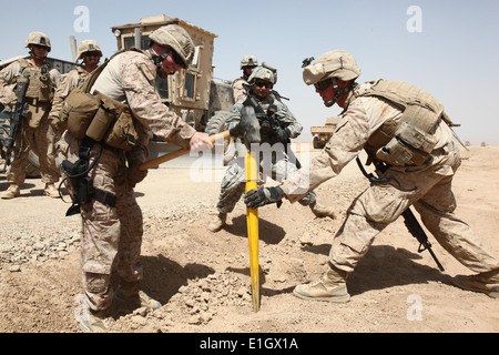 A U.S. Marine with 2d Marine Logistics Group (2D MLG) reads ...