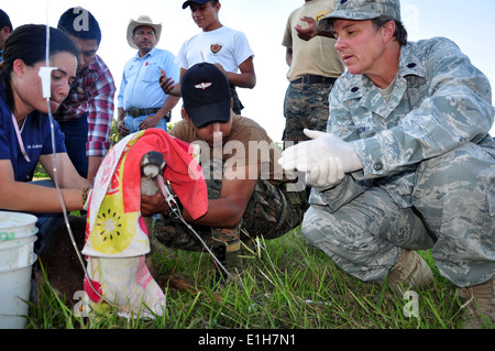 U.S. Army Lt. Col. Alan Boyer and Command Sgt. Maj. Joseph Singerhouse ...