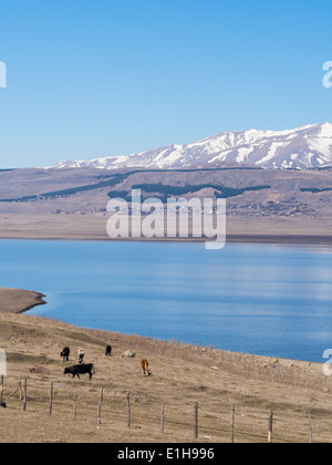 Paravani lake in Javakheti Plateau in Georgia, Caucasus Stock Photo - Alamy