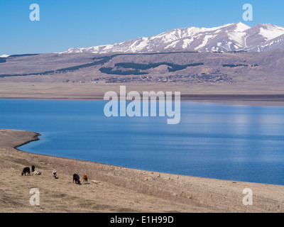 Paravani lake in Javakheti Plateau in Georgia, Caucasus Stock Photo - Alamy