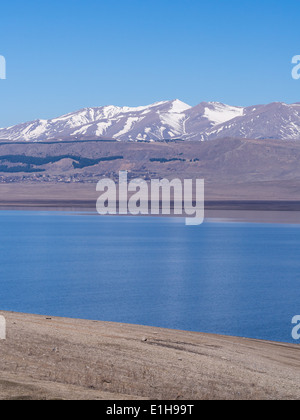 Paravani lake in Javakheti Plateau in Georgia, Caucasus Stock Photo - Alamy