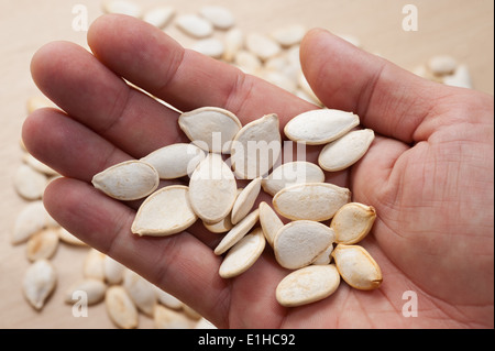 Macro Of A Male Hand Holding Several Pills With Prescription Bottle And ...