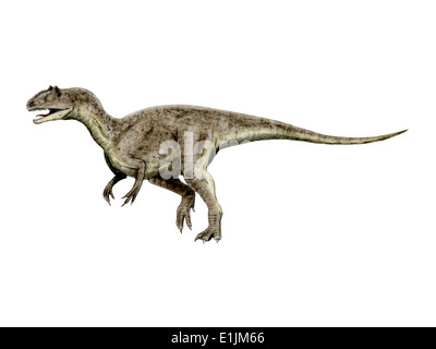 Allosaurus dinosaur, side view Stock Photo - Alamy