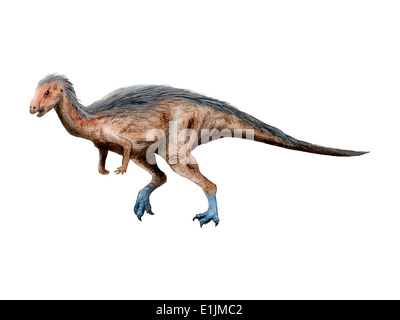 Dryosaurus altus, prehistoric era dinosaur from the Late Jurassic ...