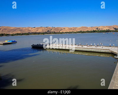 Lake Elizabeth Fremont California Stock Photo - Alamy