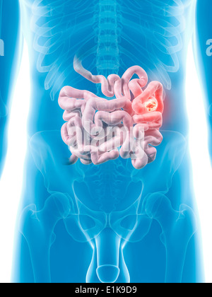 Front of the male human body showing muscles sinews and bones Stock ...