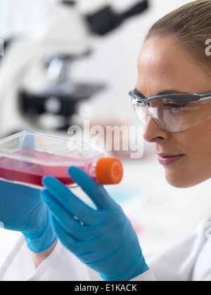 Female biologist holding a flask containing stem cells Stock Photo - Alamy