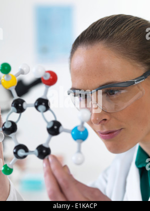 Scientist looking at molecular model Stock Photo - Alamy