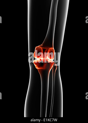 Human knee pain, computer illustration Stock Photo - Alamy