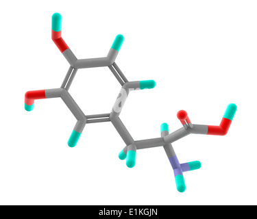 L-DOPA (levodopa) Parkinson's disease drug molecule Stylized skeletal ...