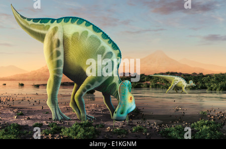 Hadrosaurus is a genus of hadrosaurid dinosaur. In 1858, the only known ...