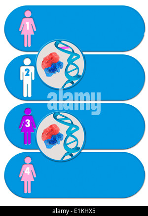 Infographic showing the process of three parent IVF (in vitro ...