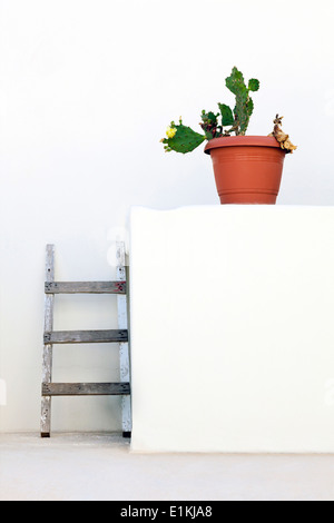 one ladder against wall in city town Stock Photo - Alamy