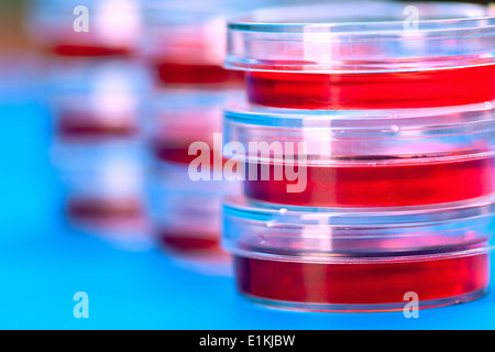 Stack of petri dishes with samples of biological cultures Stock Photo ...