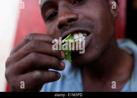 Man chewing miraa (qat Stock Photo - Alamy