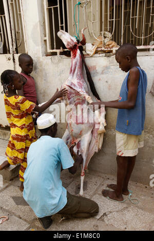Tabaski festival : sheep slaughtered after the Eid prayer Stock Photo ...