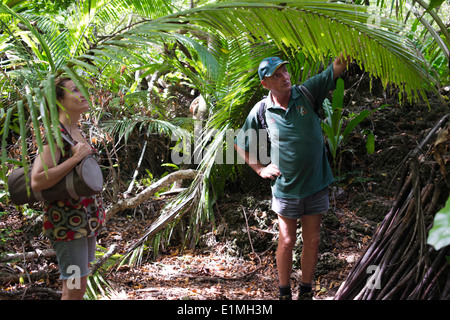 Anatakitaki Cave Atiu Cook Islands Stock Photo - Alamy