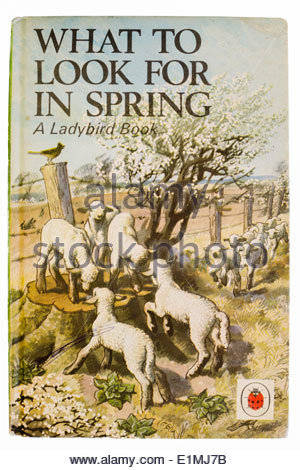 Children's Ladybird Books - What to Look for in - Spring, Summer Stock ...