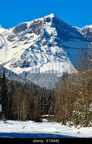 The snow-capped rocky mountains at Brule Alberta Stock Photo - Alamy