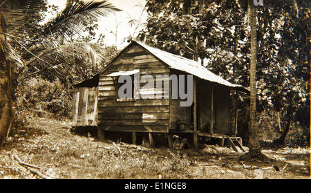 This image from the Charles B. Austin Special Collection shows Lt ...