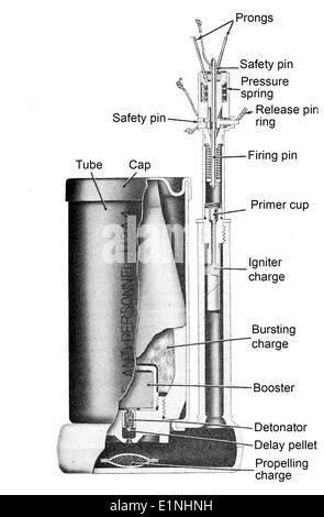 Anti-personnel landmine ( land mine ) is under surface of ground. Human ...
